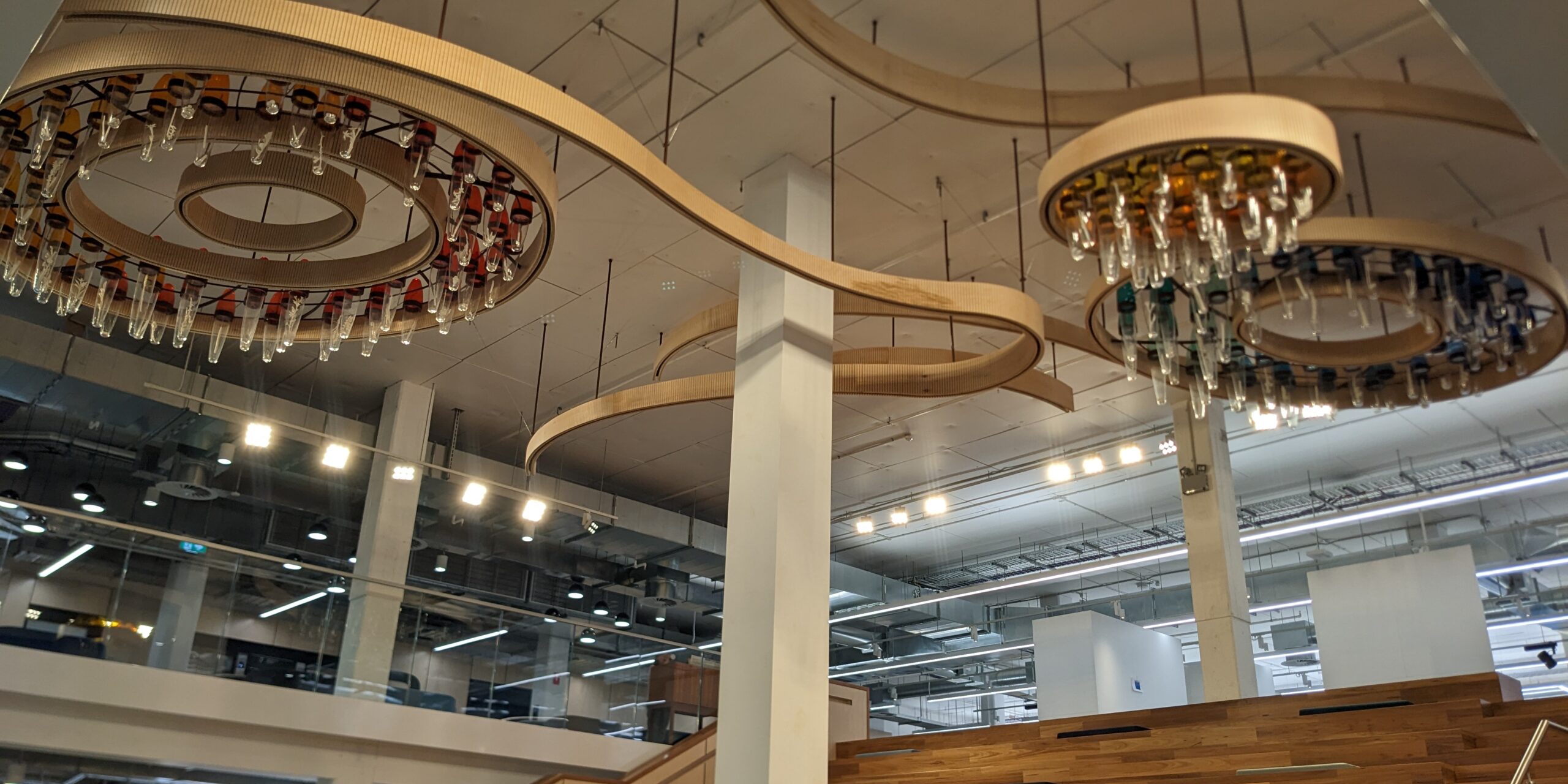 Thesis Fest 2023 - Library | Curtin University, Perth, Australia